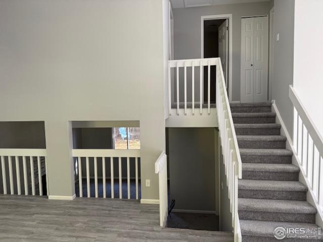 4436 Hollyhock St, Fort Collins, CO 80526 | MLS #1046 | Compass