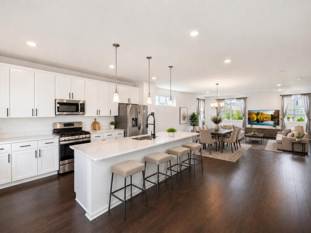 4437 Chelsea Manor Circle # 4437