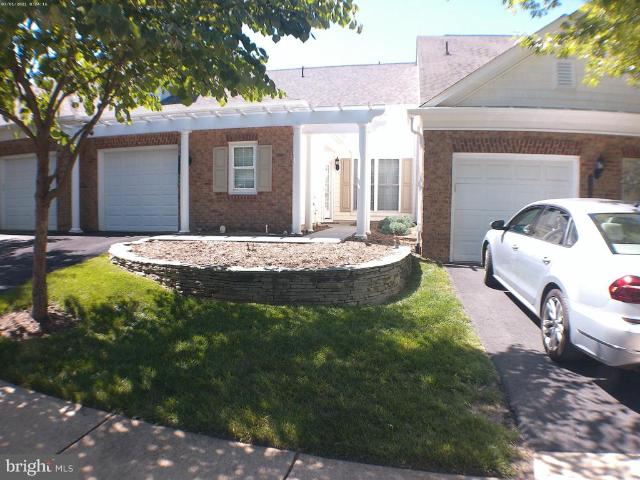44398 Maltese Falcon Square