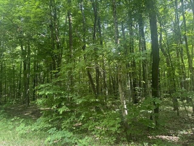 4439 Derry Rd, Alba, MI 49611