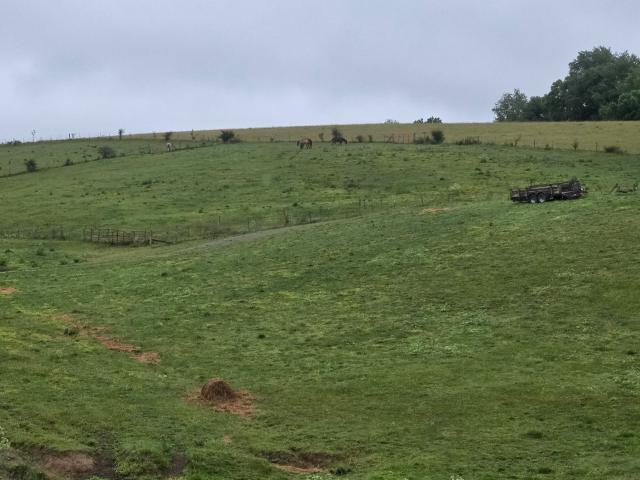 4430 State Hwy 1194