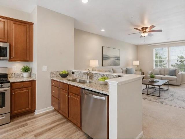 44313 Ocelot Way