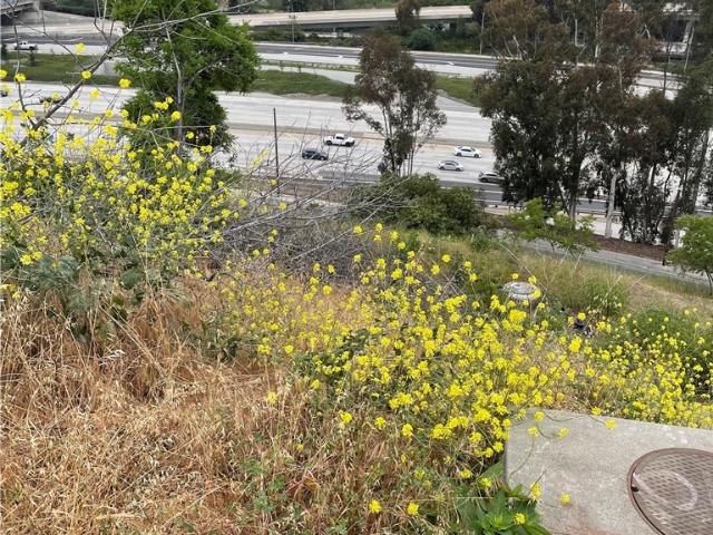 4433 Hayes St, Los Angeles, CA 90063 | MLS #DW26055