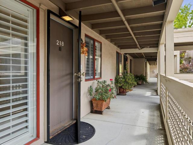 443 Alberto Way B218