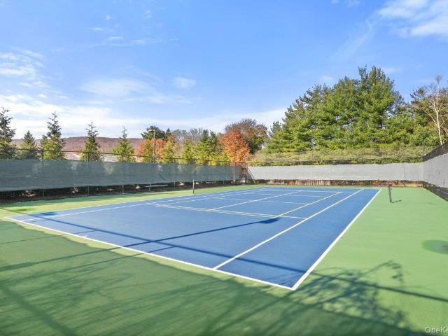 443 Genesee Court
