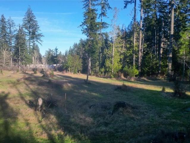 443 Elma Hicklin Rd W, McCleary, WA 98557