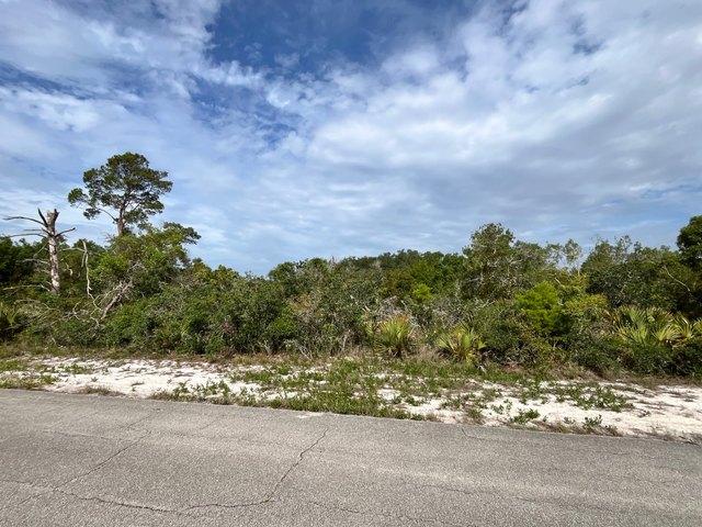 443 Hoover Ave NE, Lake Placid Florida 33852, FL 33852