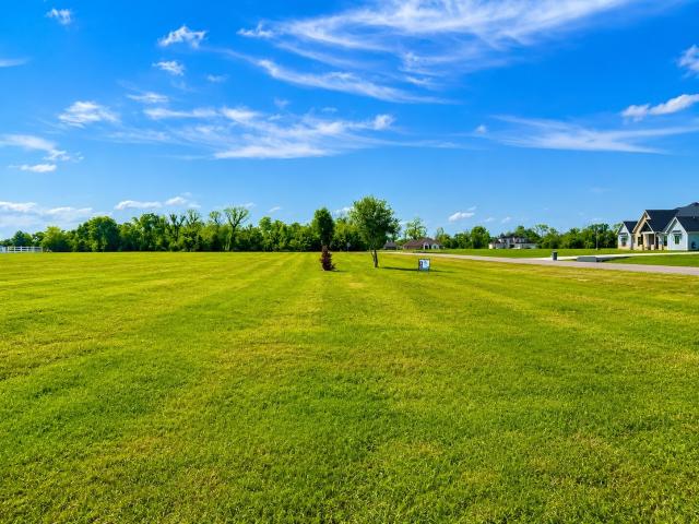 443 Lakeview Drive