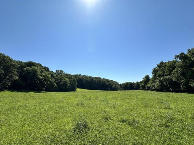 443 Marsha Rd, Billings, MO 65610