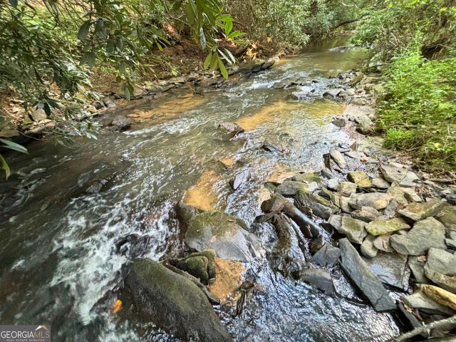 443 Mt Springer Road