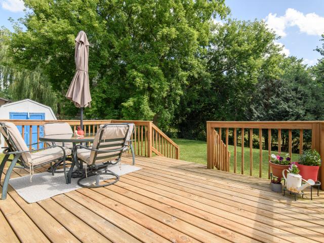 443 Raintree Dr