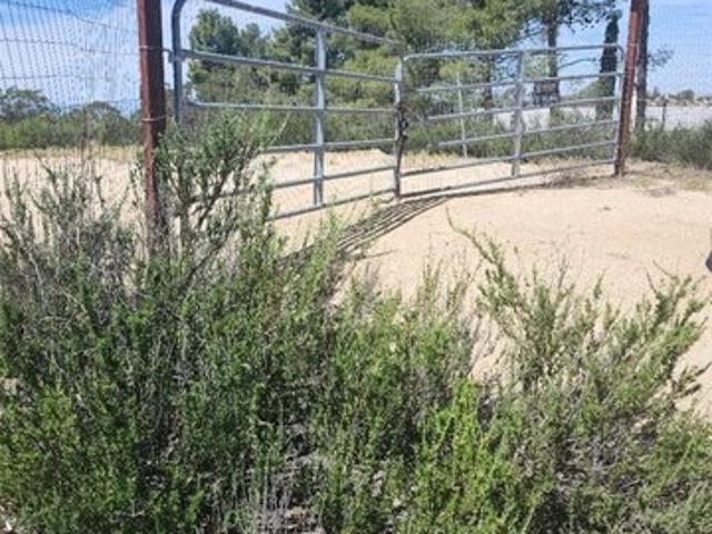 44401 Barbara Trl, Aguanga, CA 92536