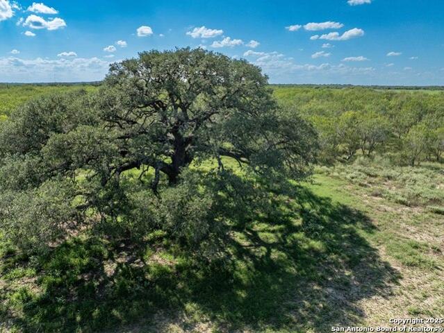 444 County Road 748