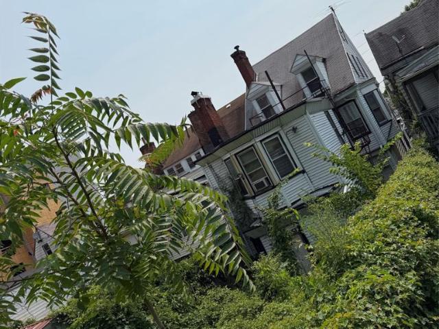 444 Summer Avenue