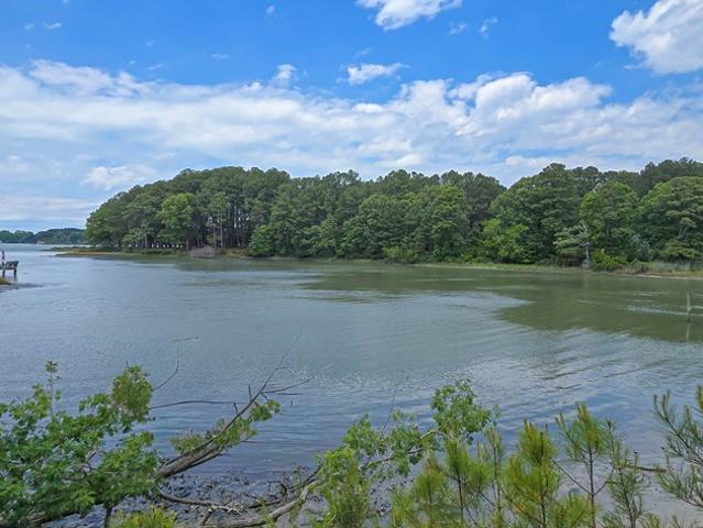 4454 Wilsonia Shores Dr