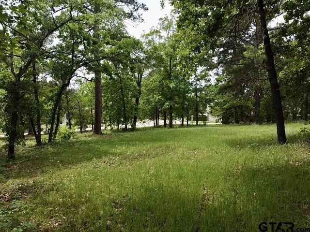 4458 Couples Ct, Tyler, TX 75709