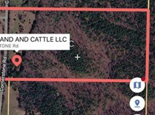 445 Cornerstone Rd, Pleasant Plains, AR 72568
