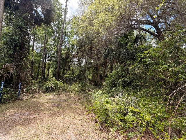 445 A County Rd, Astor, FL 32102 | MLS #R4910 | Compass