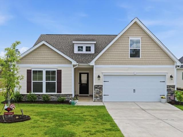 445 Dolomite Ct, Chapin, SC 29036
