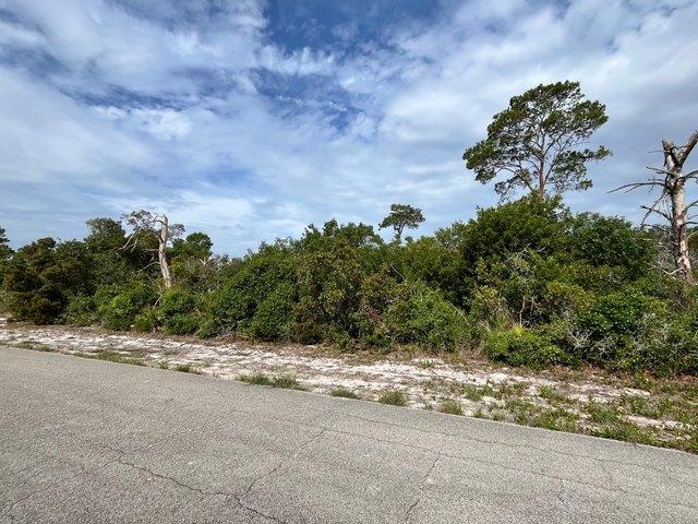 445 Hoover Ave NE, Lake Placid, FL 33852