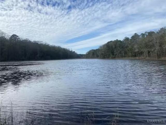 445 LESSIE CULPEPPER ROAD, COFFEE SPRINGS, AL 36318