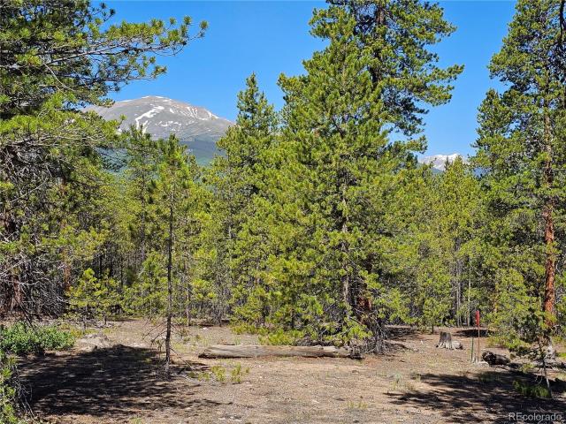 445 Mount Massive Dr, Twin Lakes, CO 81251 | MLS #4525 | Compass