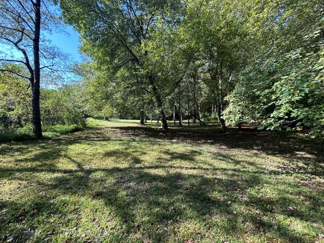 445 Twin Creeks, Blue Ridge, GA 30513 | MLS #419371
