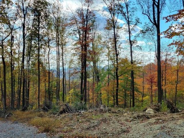 4460 Middlepoint Rd, Myersville, MD 21773