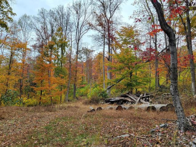 4460 Middlepoint Rd, Myersville, MD 21773 | MLS #MDFR2078 | Compass