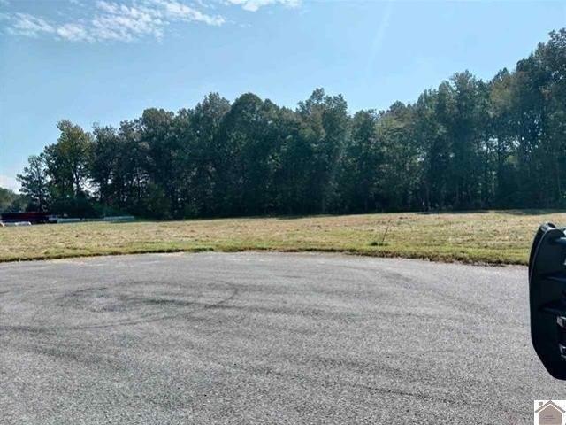 4460 Lance Walton Rd, Paducah, KY 42001