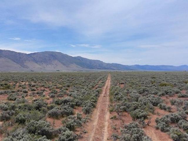 446 Honey Lk, Herlong, CA 96113