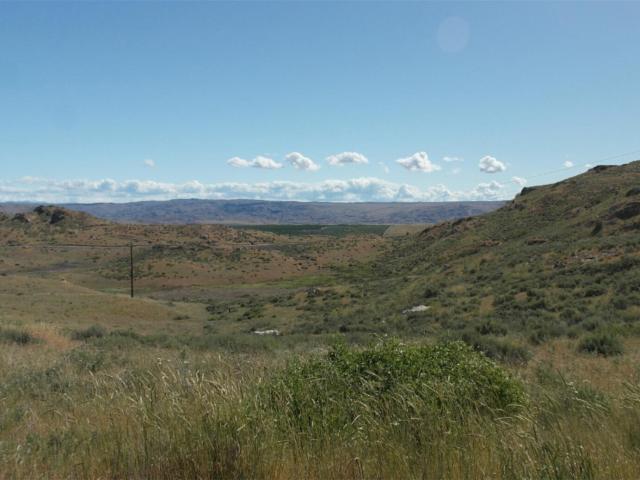 446 Plata Road