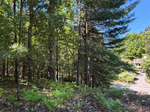 4478 Ground Pine Trail