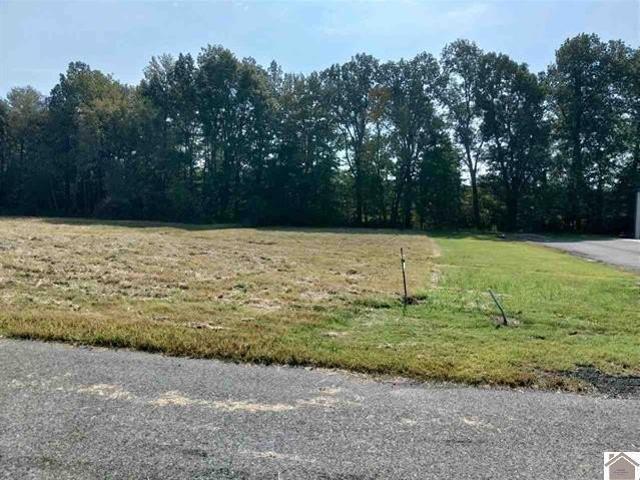 4470 Lance Walton Rd, Paducah, KY 42001