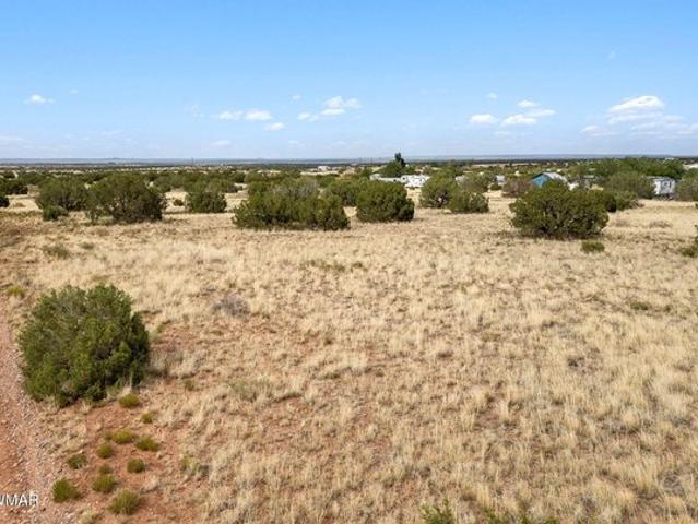 4473 Garibaldi Rd, Snowflake, AZ 85937