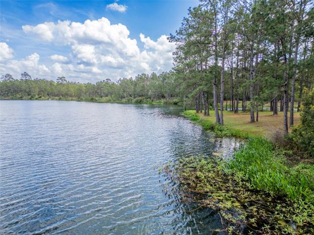 4473 Holly Trail, Montgomery, TX 77316 | MLS #92133