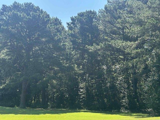 447 Shotgun Ln, Lonoke, AR 72086