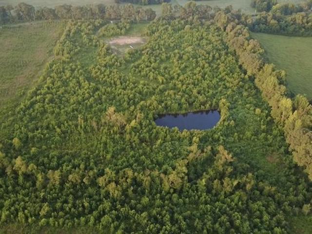 447 Polk Road 32, Cove, AR 71937