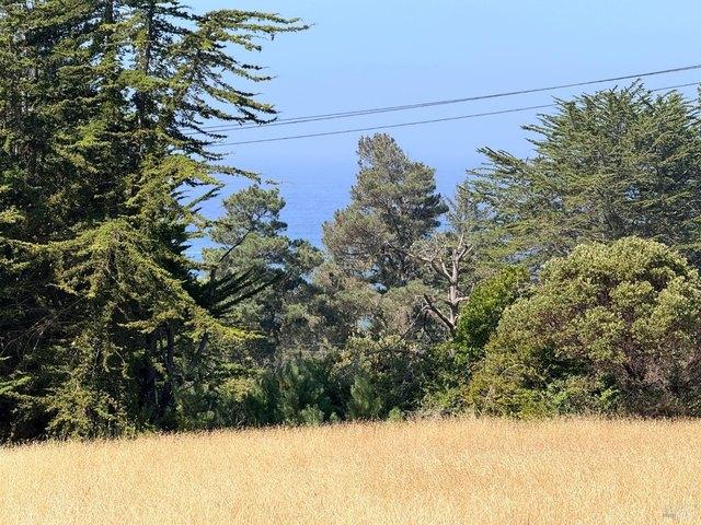 44861 Baywood Dr, Mendocino, CA 95460
