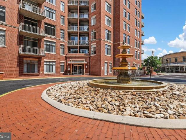 4480 Market Commons Drive # 205