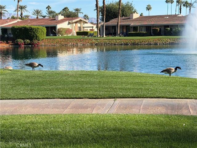 44812 Del Dios Cir, Indian Wells, CA 92210 | MLS #CV26031