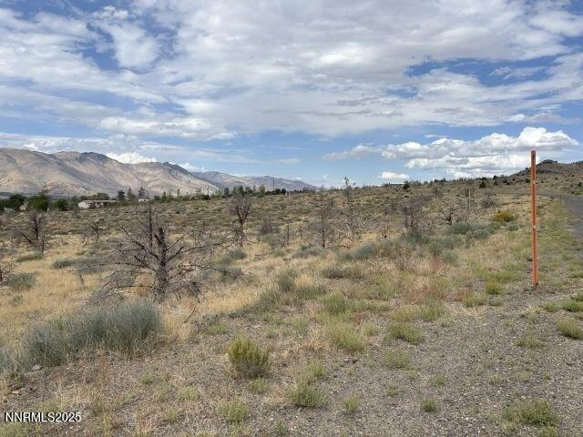 448 E Eastside Ln Unit 25, Coleville, CA 96107