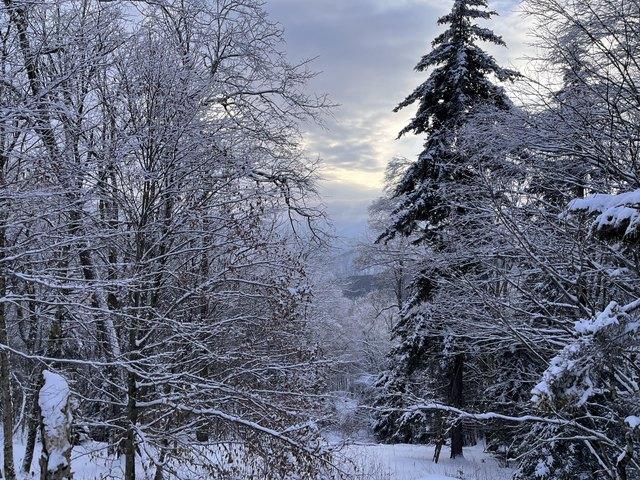 448 N Westridge Rd, Snowshoe, WV 26209