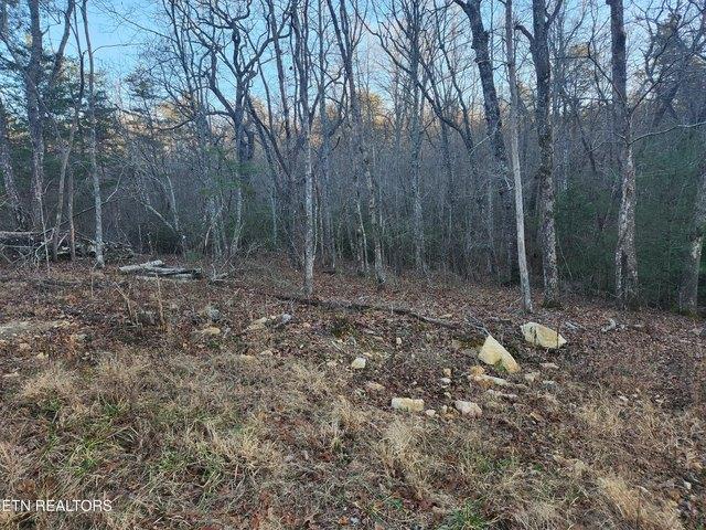 448 St George Dr, Crossville, TN 38558