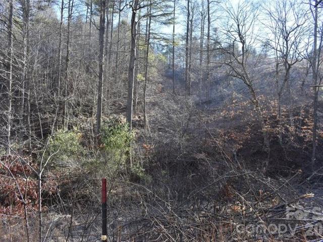448 Sweetwater Rd, Green Mountain, NC 28740