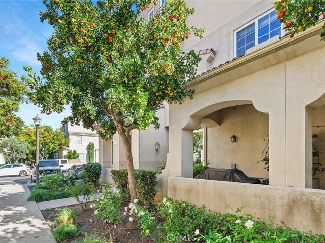 44989 Bellflower Lane