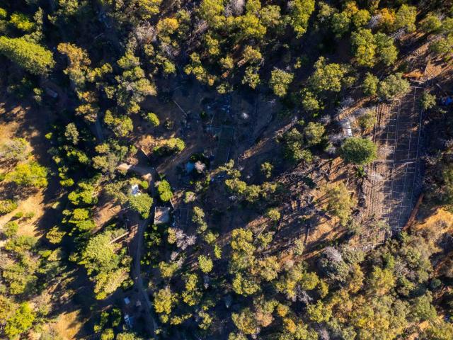 44989 McClenny Dr, Posey, CA 93260 | MLS #226036
