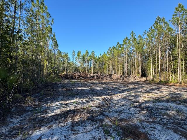 4490 Ga Highway 259