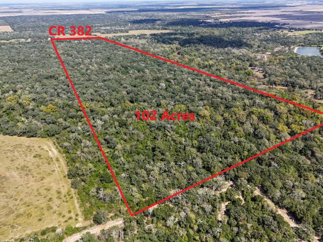 4491 County Road 382, Louise, TX 77455 | Compass