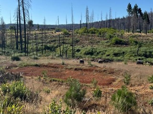 4491 String Canyon Rd, Grizzly Flats, CA 95636